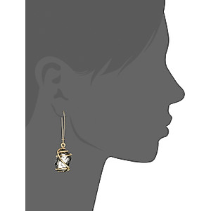 Robert Lee Morris Soho Caged Stone Dangle Earrings, Black, one size (RS04705-E04)