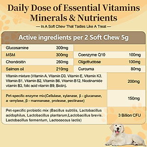 11-in-1 Dog Multivitamin for Small, Medium & Large Breed Dog,Vitamin Dog Treat, Dog Vitamins and Supplements, Vitamin Mixture for Skin & Coat by WiffyPets,Boosts Immunity | 90 Count,Chicken