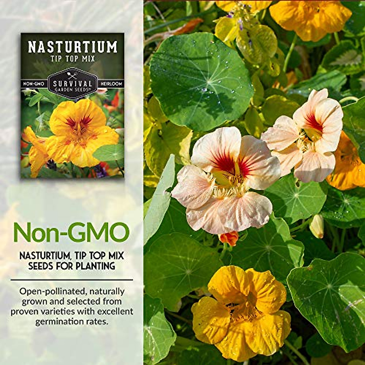 Survival Garden Seeds - Tip Top Mix Nasturtium Seed for Planting - Pack with Instructions to Plant and Grow Edible Flowers & Companion Plants in Your Home Vegetable Garden - Non-GMO Heirloom Variety