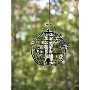 Gardeners Supply Company Globe Cage Bird Feeder | Sturdy and Squirrel Proof Outdoor Garden Hanging Hummingbird Feeder with Mixed Seeds Container | Best for Finches Nuthatches and Other Small Birds