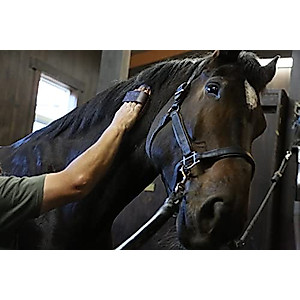 Kawell USA Natural Horse Shampoo for Skin and Coat Care - suitable for Minor Injuries, Cuts, Ulcers, Skin Allergies and Irritations, infused with Matico Healing Properties, 32 oz.