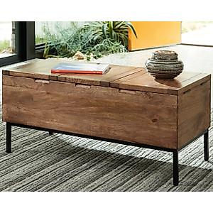 Signature Design by Ashley Braddick Trunk, Light Brown and Black