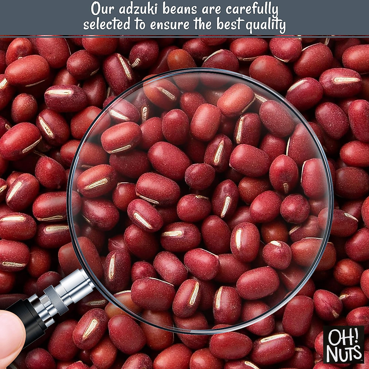 Adzuki Beans | Raw - 100% Natural | 2 lb | Dried Red Mung Beans from Thailand | Packed in New York Zip-Seal Bag for Exceptional Freshness by Oh Nuts