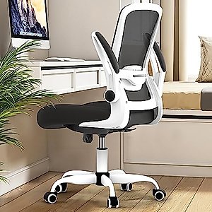 Office Chair, Ergonomic Desk Chair with Adjustable Lumbar Support, High Back Mesh Computer Chair with Flip-up Armrests-BIFMA Passed Task Chairs, Executive Chair for Home Office