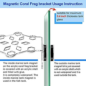 Aquarium Choice Coral Plug Holder M Coral frag Rack Magnetic Holder Reef Magnets Holder for frag Rack with 7 Coral frag Plug Base