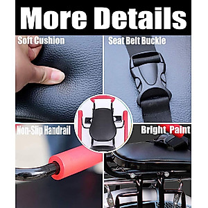 Wing Back Mount Child Seat for Adult Bike, Bicycle Rear Seat for Kids,Removable Fence with Non-Slip Armrests and Pedals, Padded Seat Belt for 2-6 Year Old Child Seat