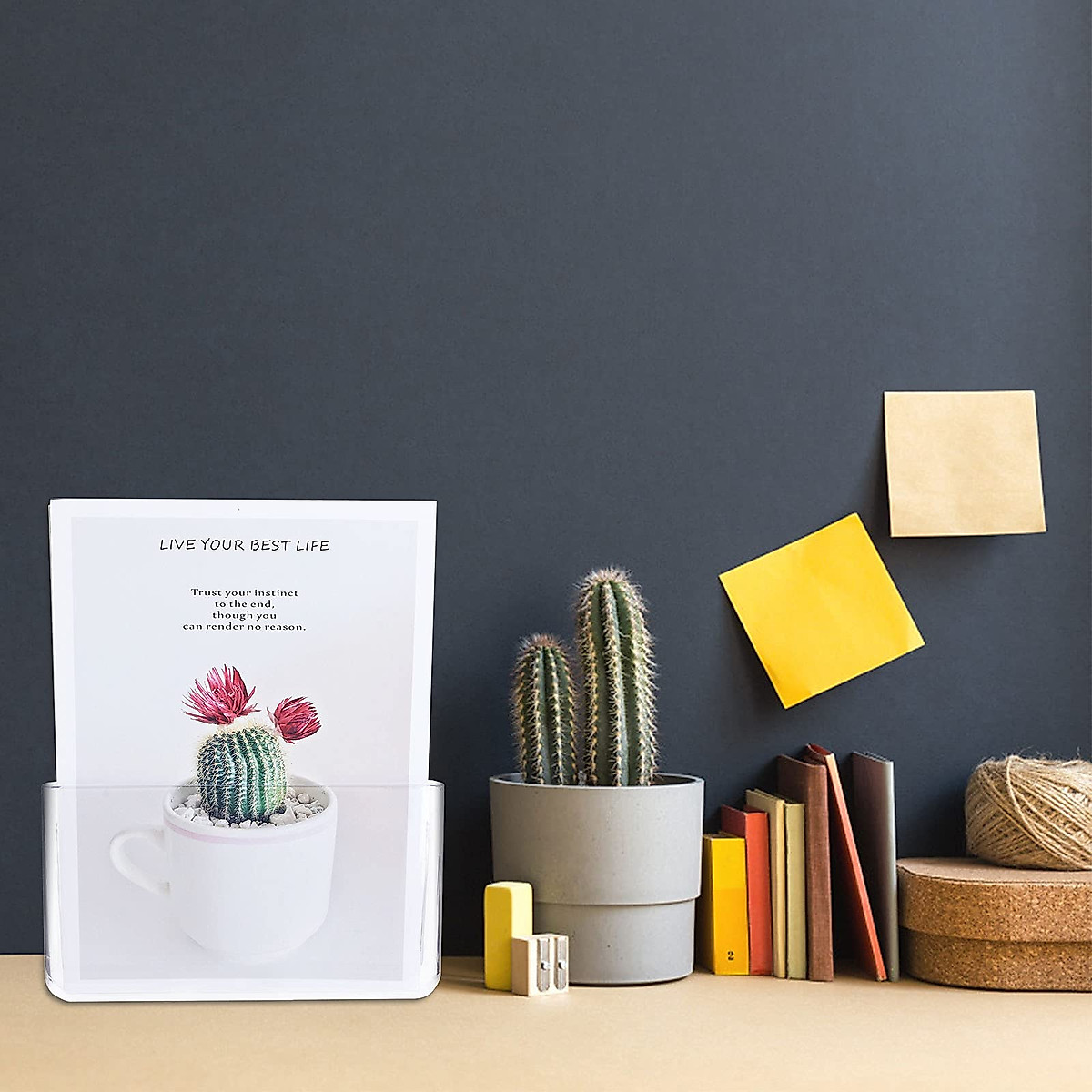 5 Pack Plastic Wall Folders, Clear Single Pocket Hanging Wall File Organizer, Durable Wall Mount File Holder for Office Home Bathroom, 8.7” x 1.8” x 4.7”