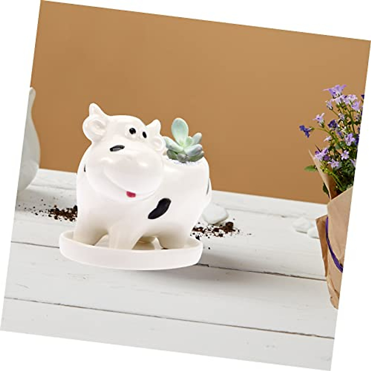 Yardwe 2 Sets Vase Desktop Office for Holder Table Home Cactus Flower Drainage Shape Ceramic Pot of Collectible Year Outdoor Decor Tiny Bonsai Cute Shaped Planter Gardening Container