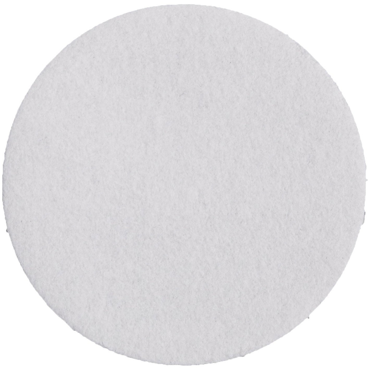 Whatman 1004-055 Quantitative Filter Paper Circles, 20-25 Micron, 3.7 s/100mL/sq inch Flow Rate, Grade 4, 55mm Diameter (Pack of 100)
