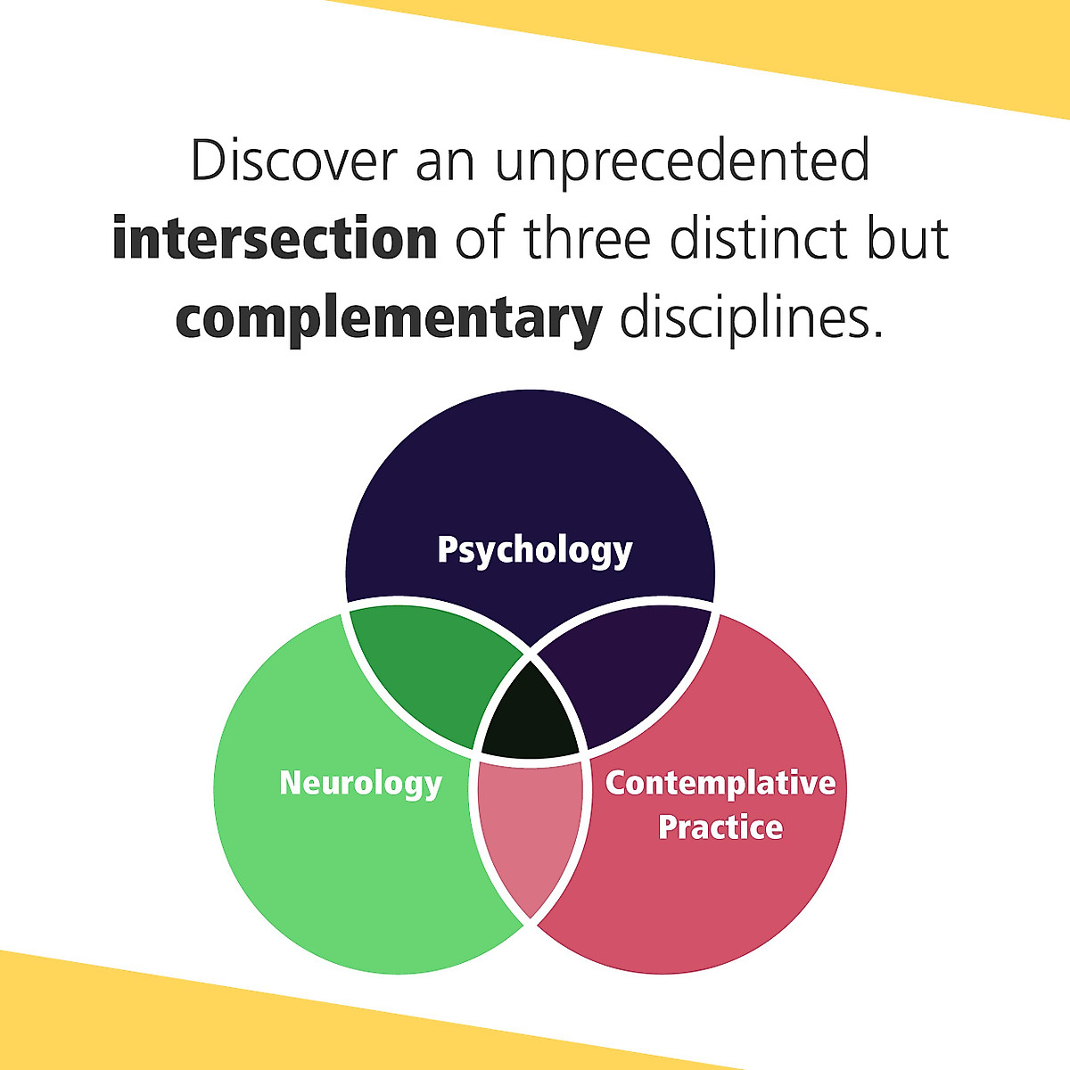 Buddha's Brain: The Practical Neuroscience of Happiness, Love, and Wisdom