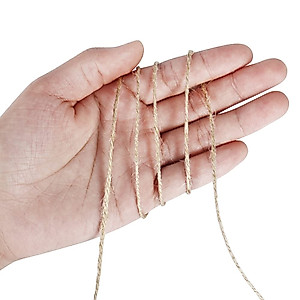 Tenn Well Natural Jute Twine, 3Ply 984Feet Arts and Crafts Jute Rope Industrial Packing Materials Packing String for Gifts, DIY Crafts, Decoration, Bundling, Gardening and Recycling