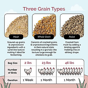 Mile Four | Layer Chicken Feed | Organic, Non-GMO, Corn-Free, Soy-Free, Non-Medicated Chicken Food | Adult Poultry, Roosters, Chickens, Ducks, Geese & Gamebirds | 16% Protein | Whole Grain | 23 lbs.
