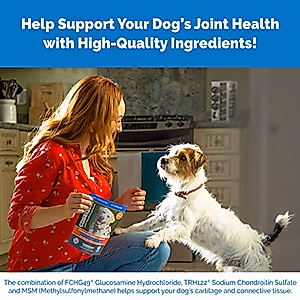 Nutramax Cosequin DS Joint Health Supplement for Dogs - With Glucosamine and Chondroitin, 132 Capsules