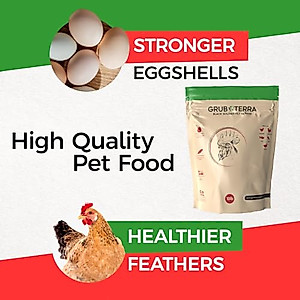 GrubTerra Dried Black Soldier Fly Larvae, Non-GMO Healthy Chicken Treats for Chicken, Ducks, Turkeys and Other Wild Birds with 75x More Calcium Than Dried Mealworms. (5lb)