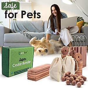 ecoKiwi Cedar Blocks for Clothes Storage Super Bundle Box - Cedar Hangers x10, Balls x30 & Rings x28-100% Natural Oil Planks & Chips for Closets & Drawers - Aromatic Red Cedar Wood with Sandpaper