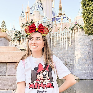 Bolonar Belle Sequin Rose Headband with Princess Ears Bows for Women and Adults