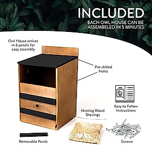 Kind Innovations Owl House DIY Easy Build Kit Owl Nesting Boxes Owl w/Perch Box for Outside Screech Owl Nesting Box Barn Owl bat Houses for Outdoors Owls Nest Squirrel Nesting Box (Flat Roof)