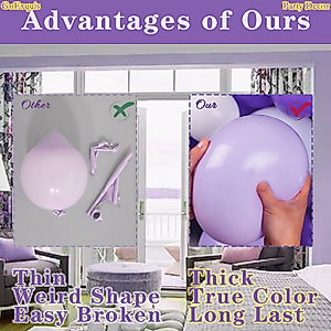 Purple Balloon Arch Garland Kit with 12Pcs 3D Butterfly Wall Decor Birthday Bachelorett Bridal Shower Engagement Wedding Baby Shower Graduation Retirement Mother's Day Party Decorations