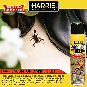 HARRIS Scorpion and Spider Killer, 16oz Aerosol with 6 Week Residual Kill