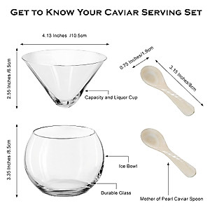 Caviar Serving Set Chiller Server Plus 6 x Hand Craft White Mother of Pearl Caviar Spoon 3" Cocktail Caviar Wine Chiller Martini Glasses