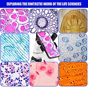 Compound Binocular Microscope, WF10x and WF25x Eyepieces,40X-2000X Magnification, LED Illumination Two-Layer Mechanical Stage microscopes for Adults