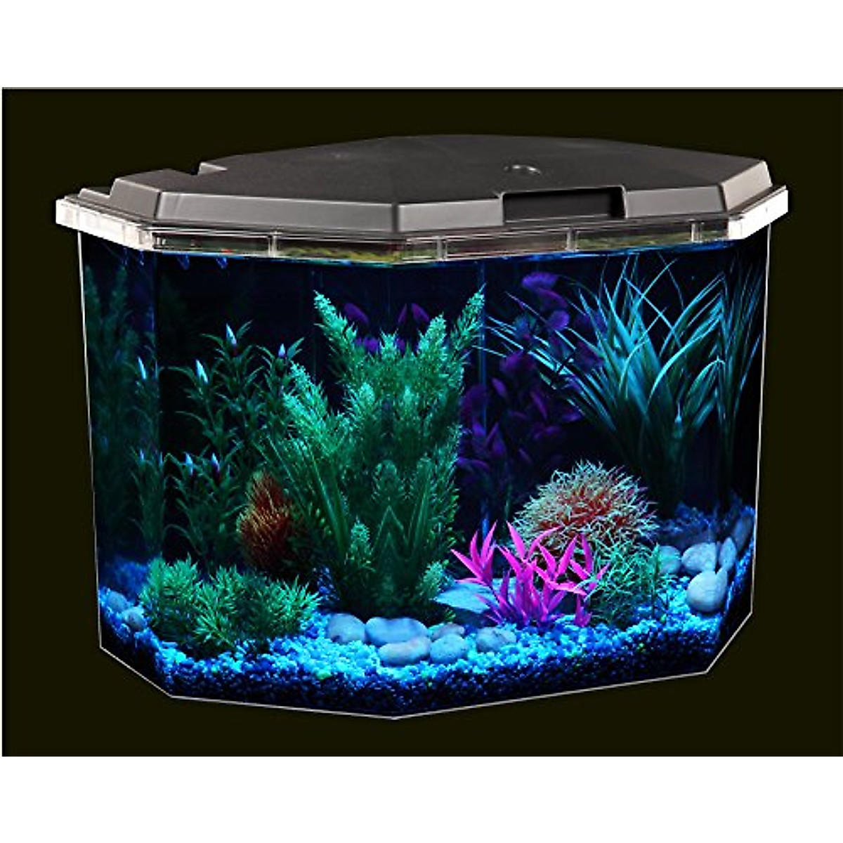 Koller Products 6.5-Gallon Aquarium Kit with Power Filter and LED Lighting, (AP650)
