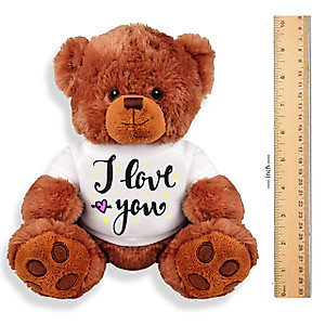 Teddy Bear Couple Gift: Funny 13 Inch Teddy Bear Stuffed Animal : I Love You : Romantic Gift : Best Couple Gift