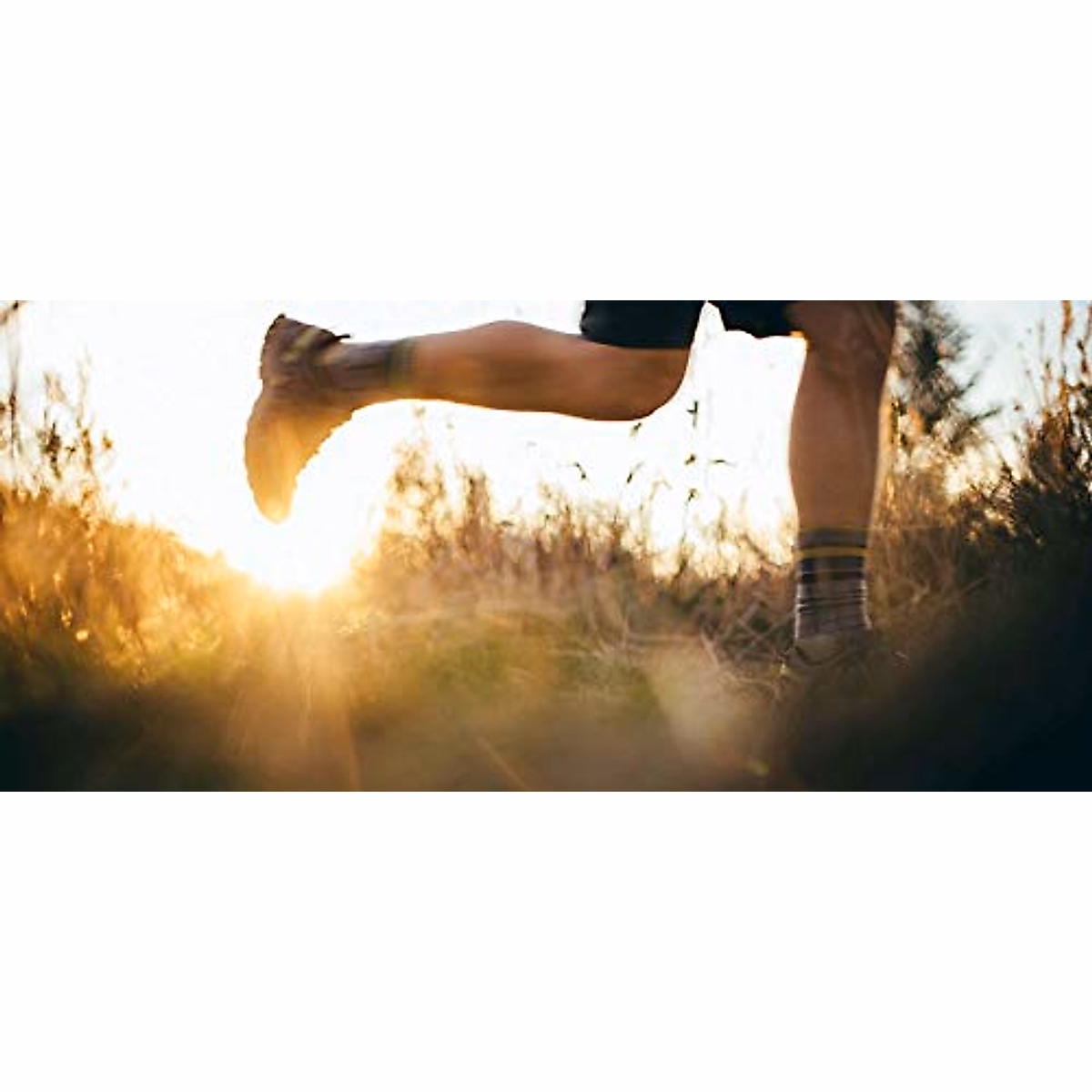 Farm to Feet Men's Greensboro Lightweight 1/4 Crew Socks, Black/Black, Large (8562)