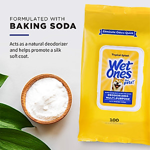 Wet Ones for Pets Desmellizing Multi-Purpose Dog Wipes with Baking Soda Dog Desmellizing Wipes for All Dogs in Tropical Splash Scent, Wet Ones Wipes for Desmellizing Dogs| Hundred Ct Pouch Dog Wipes