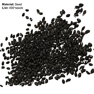 KOqwez33 Flower Garden Decoration 400Pcs/Bag Fast Growing Nepenthes Seeds Carnivorous Gorgeous Bonsai Garden Pitcher Plant Seeds for Balcony - Nepenthes Seeds