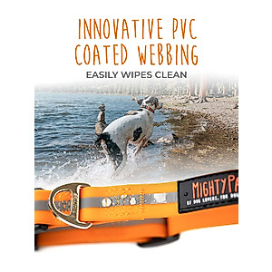 Mighty Paw Waterproof Dog Collar - Smell-Proof Active Gear - Reflective Stripe Coated Nylon Webbing - Dog Swim Collar - Smell Resistant Dog Collar - Dog Collar for All Dog Breeds - (Orange, Medium)