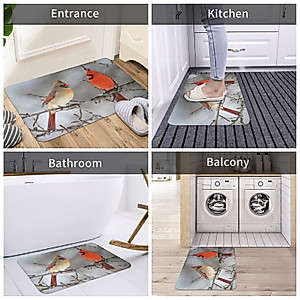 Bath Rugs Cute Cardinal Birds Standing on Branches Door Mat Outdoor Winter Birds Natural Design Doormat Non Slip Absorbent Bathroom Rug Carpet for Home Entrance Kitchen 16x24in
