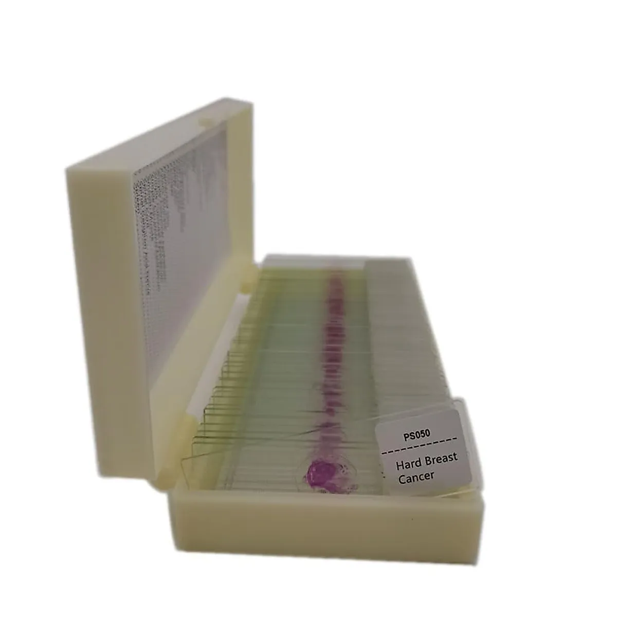 50Pcs/Set Human Pathology Slides Set Pathology Histology Prepared Microscope Slides