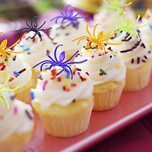 Tanlee 300 Pieces Halloween Plastic Spider Ring Stretch Spider Web Decor Table Scatter Cupcake Topper for Halloween and Spider Themed Party supplies