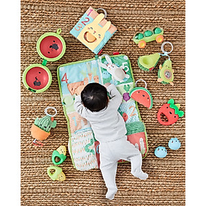 Skip Hop Baby Tummy Time Playmat, Farmstand