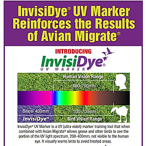Goose Repellent UV Marker, Goose and Bird Detterent for Avian Migrate, Improves The Longevity of The Avian Migrate, Trains Geese and Birds to Avoid Areas, Invisidye (Two 8 oz Bottles)