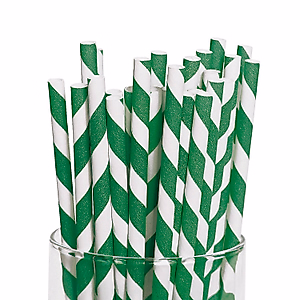Fun Express Green Striped Paper Straws (24 Pack)