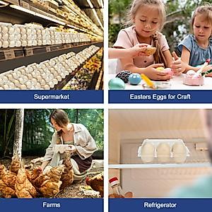 Pintuson Large 120 Pack Jumbo Egg Carton 6 Count - Duck Egg Carton Bulk - Exact Large Half Dozen Egg Cartons