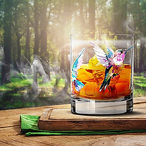 Toasted Tales - Hummingbirds Whiskey Glasses | Gift for Birds Lovers | Funny Gag Party Gift Beer Tailgating | Seasonal Outdoor Decor Glassware | Forest Animals Hummingbird Gifts for Home Decor (11 oz)