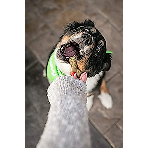 V-dog Dog Treats - Vegan Breathbone Teeth Cleaning Dental Bones - Fresh Breath - 8 Ounces - Minis - All Natural, Made in USA - 10 Bones - 3" Long - Easy to Digest