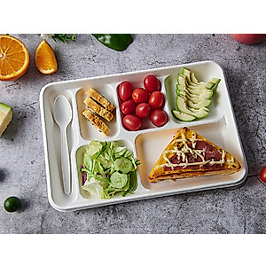 Vplus 100% Compostable 6 Compartment Plates, 90 Pack Compartment Paper Plate, 12.5x8.6 inch Disposable School Lunch Trays, Eco-Friendly Bagasse Plates for School Lunch, Buffet, and Party