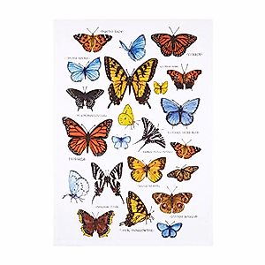 Peking Handicraft 04SER531WC Field Guide Butterflies Flour Sack Kitchen Towel, 25-inch Height, Cotton