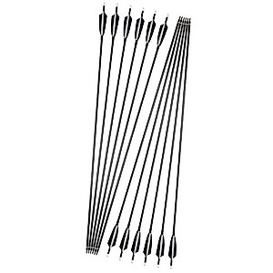 AMEYXGS 6/12pcs Carbon Arrows 34inch Practice Arrow with True Feathers and Detachable Arrow Tips 500 Spine Shooting Practice Arrows for Compound Bow Recurve Bow (12pcs)