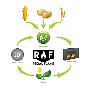 Regal Flame 1 Quart Bio-Ethanol Fireplace Fuel 24 Bottles