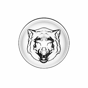 QUEEN&STONE LEAD FREE Old Fashioned Whiskey Glasses with Wolf Pattern On the Thick Weighted Bottom 10oz Set of 4 Perfect for Scotch, Bourbon,whisky