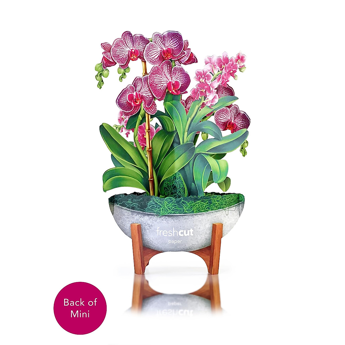 Freshcut Paper Pop Up Cards, 6 Inch Mini Sized Forever Flower Bouquet 3D Popup Greeting Cards, Birthday Gift Cards, Birthday Gifts with Note Card and Envelope, Mini Orchid Oasis