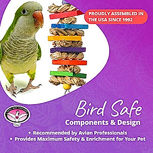 Super Bird Creations SB1095 Seagrass Wafers Bird Toy, Medium Bird Size, 9" x 2.5" x 1.5"