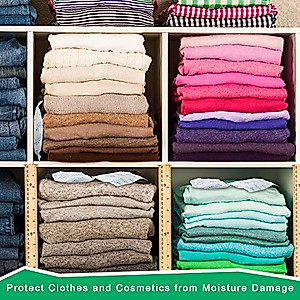 O2frepak 10 Gram(100Packs) Food Grade Moisture Absorbers Silica Gel Packs Desiccant for Storage,Food Safe Dessicant Silica Gel Packets for Moisture Storage Control