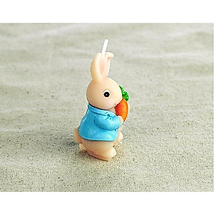 FLYPARTY Children's Birthday Candles with Greeting Card,Handmade Adorable Cute Animal Baby Shower Cake Topper Candle, Wedding Festival Zoo Theme Party Favors Decorations (Bunny)