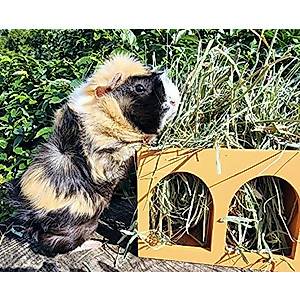 Piggies Choice Hay Feeder Natural Pine Wood Arch Guinea Pig Hay Rack with Option to Attach to Cage (Mango with Bottom)